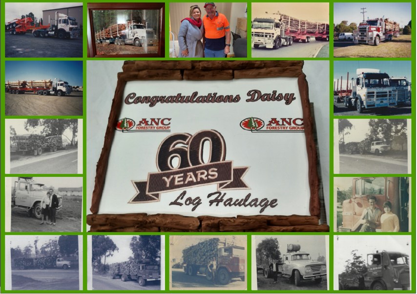 60 Year Celebration for Dave ‘Daisy’ Siddle - Gippsland Forestry Hub