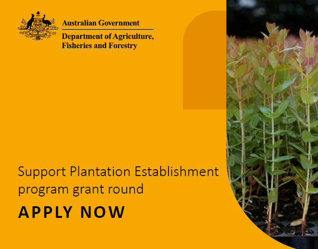 The Support Plantation Establishment Program: Grant Opportunity ...